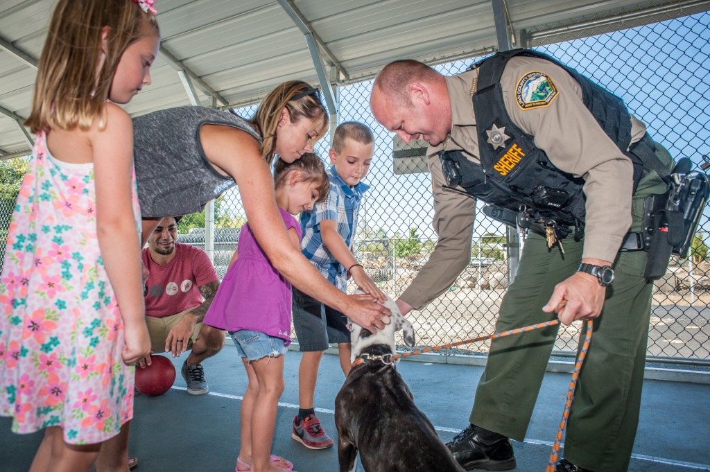 Volunteer - Linn County Sheriff's Office