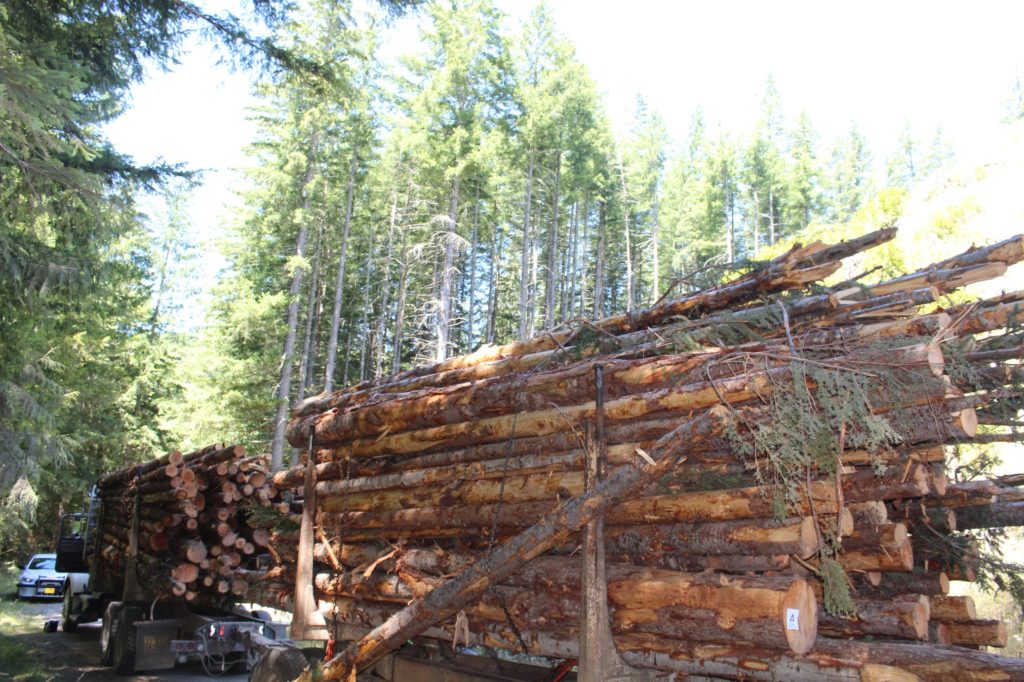 Linn Deputies Investigate Logging Death - Linn County Sheriff's Office